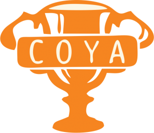 Company Of The Year Awards | Promoting Excellence & Integrity In ...